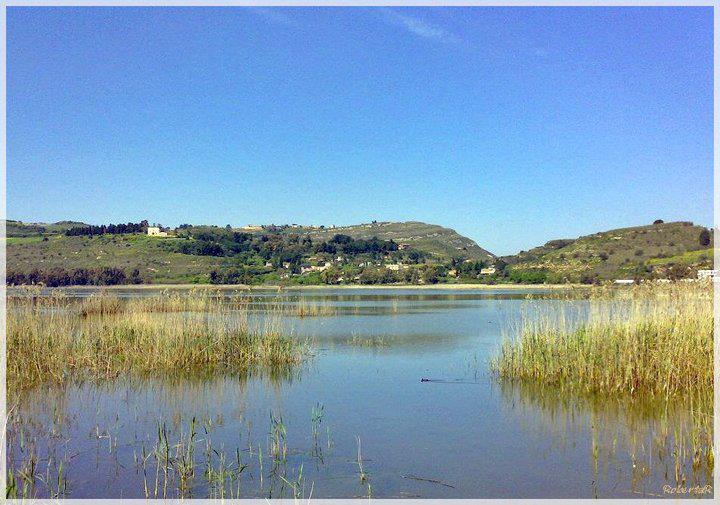 Lago di Pergusa - Tra mito e natura - Siciliafan