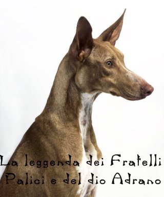 La leggenda dei fratelli Palici e del dio Adrano - Siciliafan