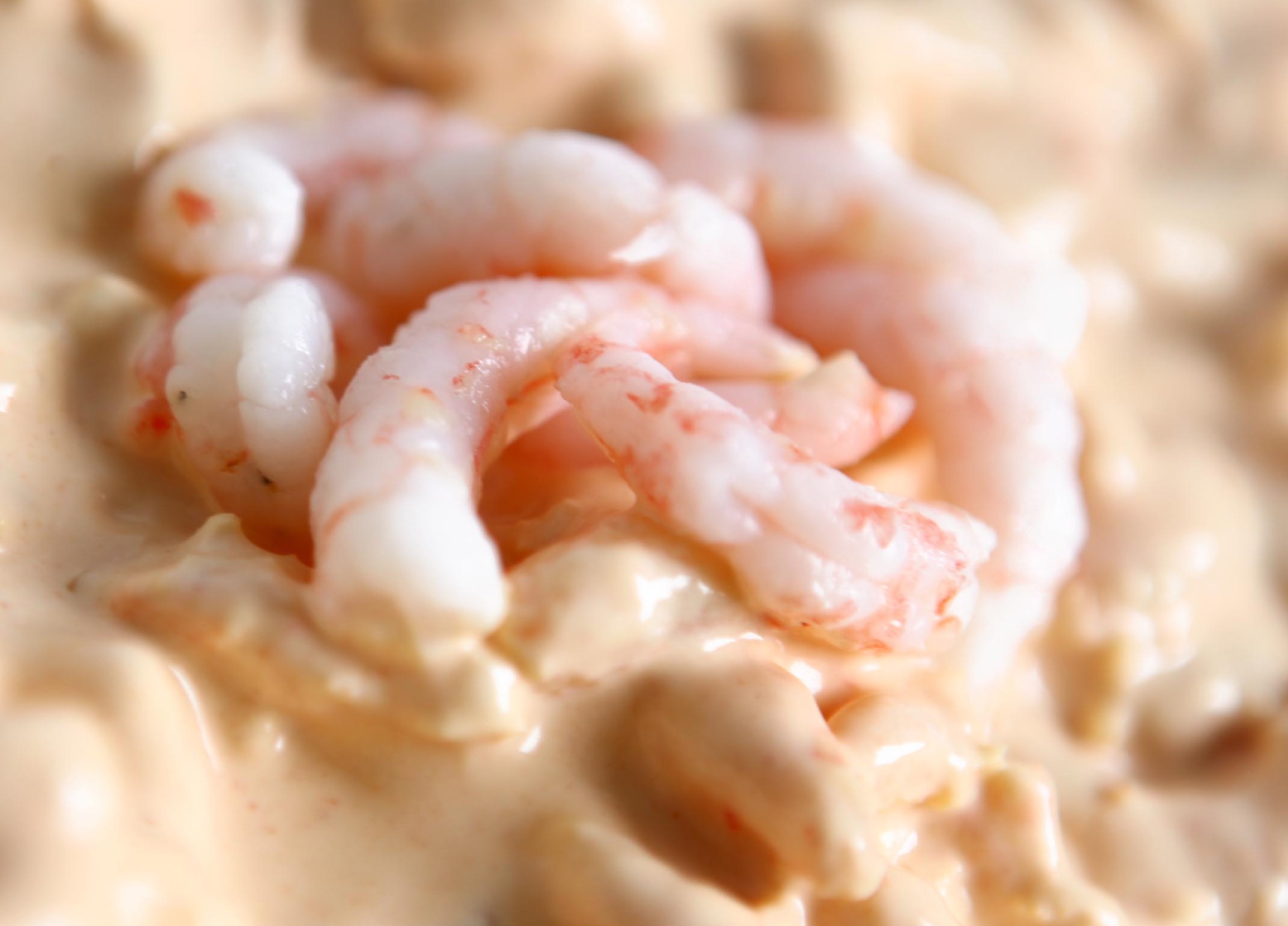 Salse veloci fatte in casa: come preparare la salsa rosa