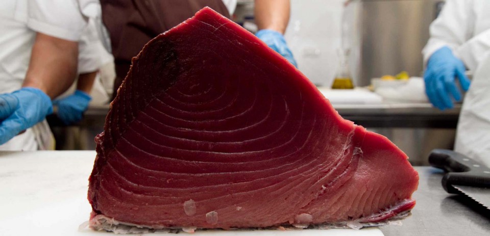 Il tonno siciliano venduto in farmacia - Siciliafan