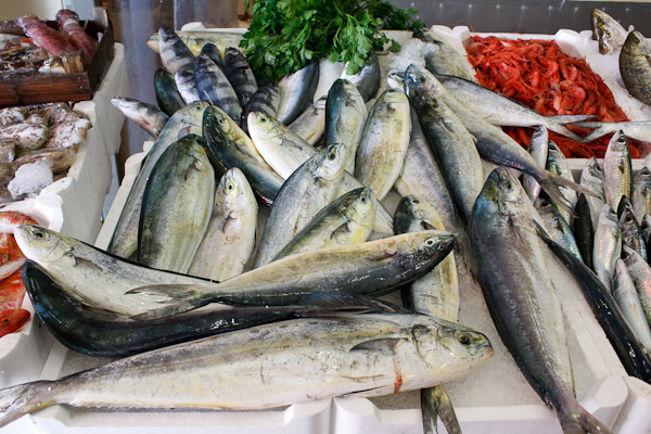 Lampuga in umido: Ricetta Siciliana - Siciliafan