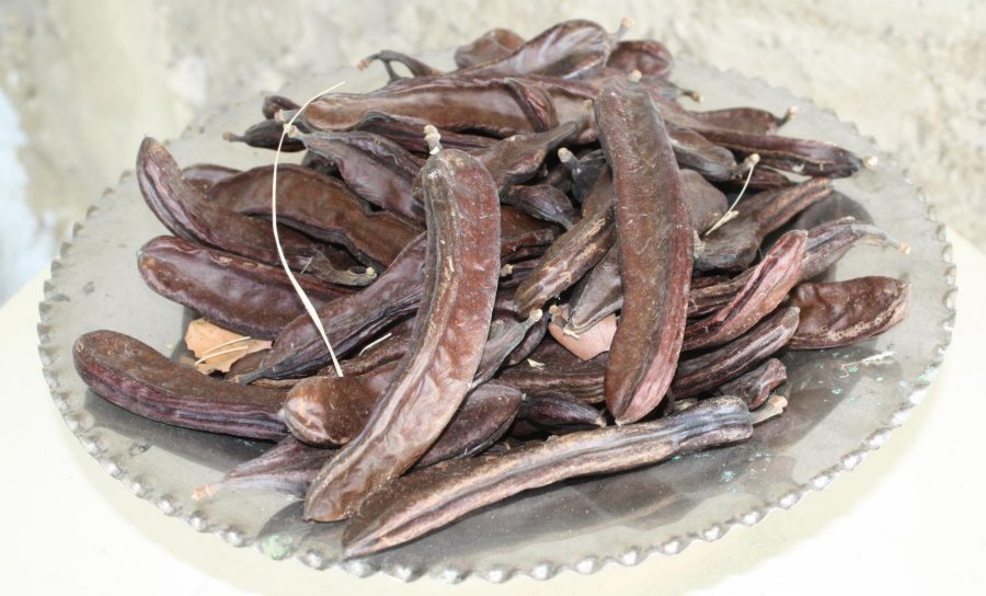 Carrube: usi e rimedi siciliani - Siciliafan