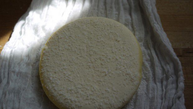 Ricotta salata fatta in casa, la ricetta facile - Siciliafan