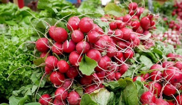 Tutte le proprietà benefiche dei ravanelli - Siciliafan