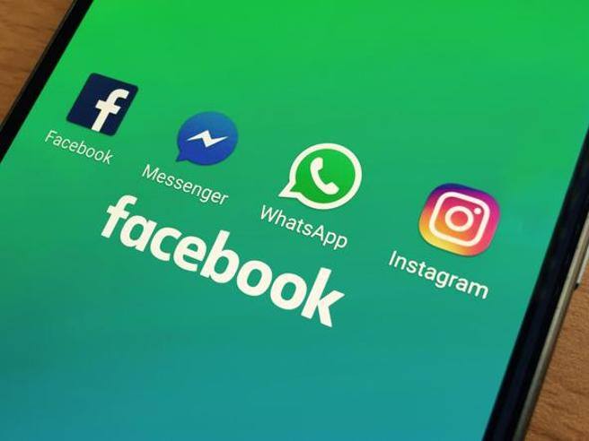 Novità su WhatsApp, arrivano le spunte verdi: ecco a cosa servono ...