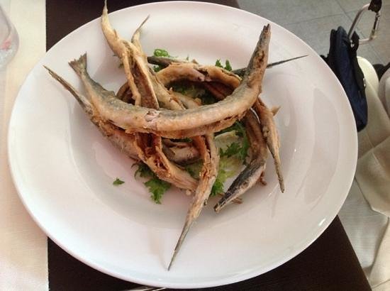 L'augghia, il pesce povero che arricchisce il Mediterraneo - Siciliafan