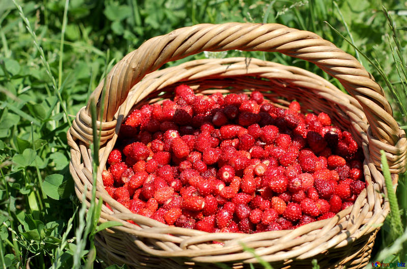 Fragolina di Ribera e Sciacca: uno dei frutti siciliani più particolari ...