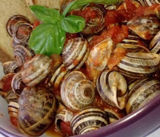 Babbaluci (Lumache) a picchipacchi - Siciliafan