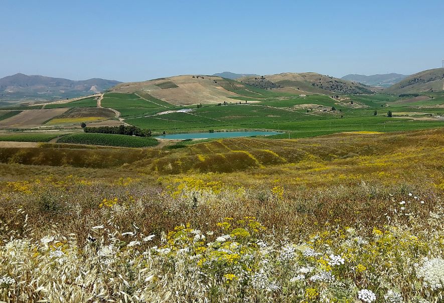 Camporeale, la Città del Vino e del Legno - Siciliafan
