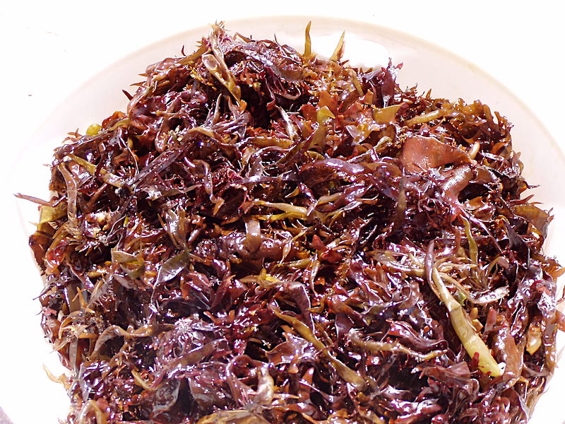 Anche la Sicilia ha la sua insalata di alghe: la ricetta del Mauru ...