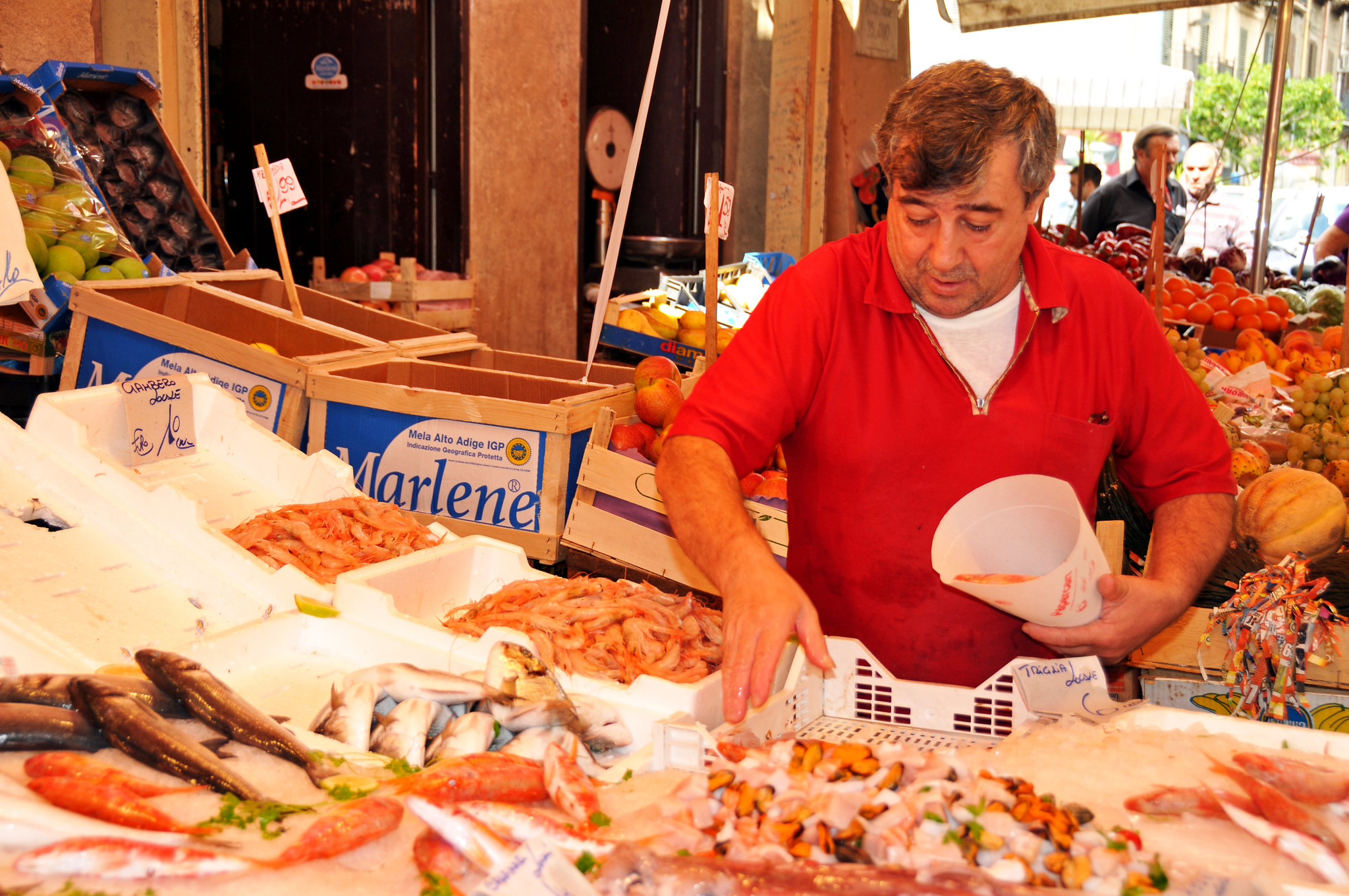 'U mauru, cosa è l'alga rossa siciliana da mangiare in insalata ...