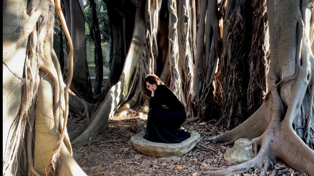 Palermo, all'orto botanico la mostra di Tiziana Cera Rosco