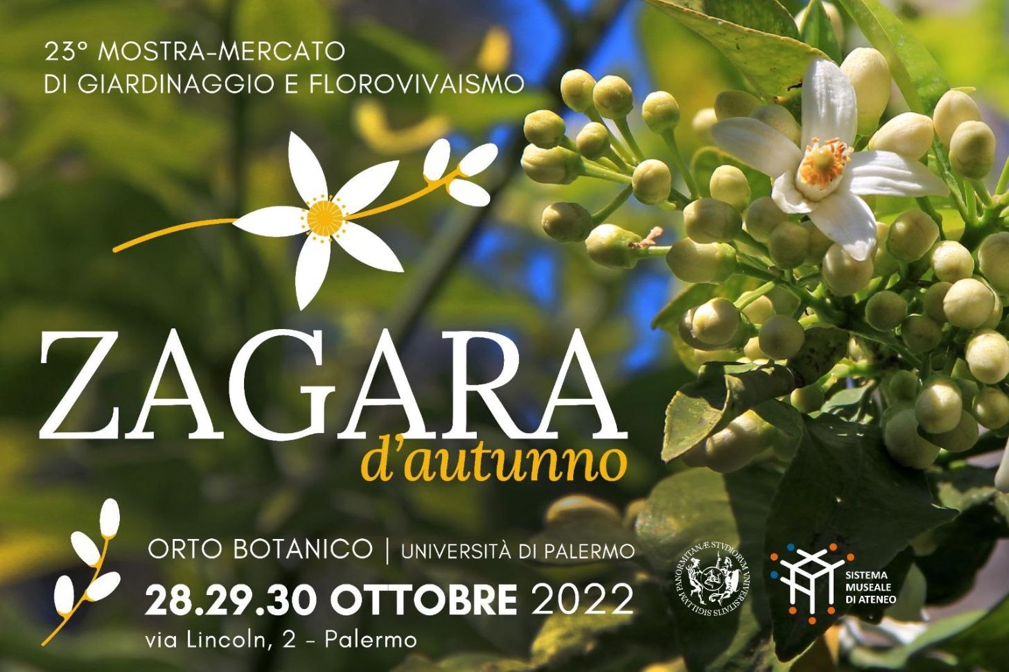 Zagara D'Autunno 2022, all'Orto Botanico di Palermo la XXIII edizione