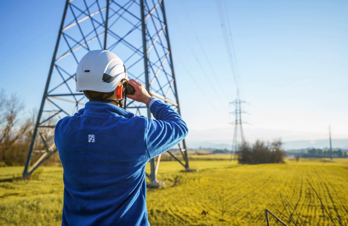 Terna espianta e ripiantuma 800 olivi a Termini Imerese