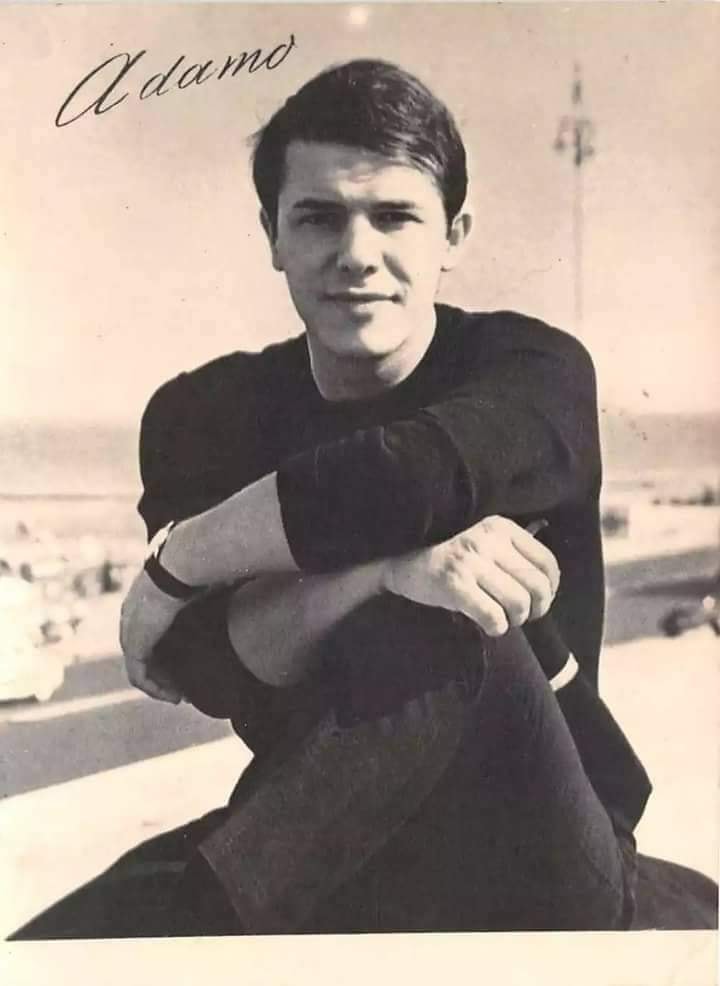 Salvatore Adamo, biografia e carriera del cantante nato in Sicilia e ...