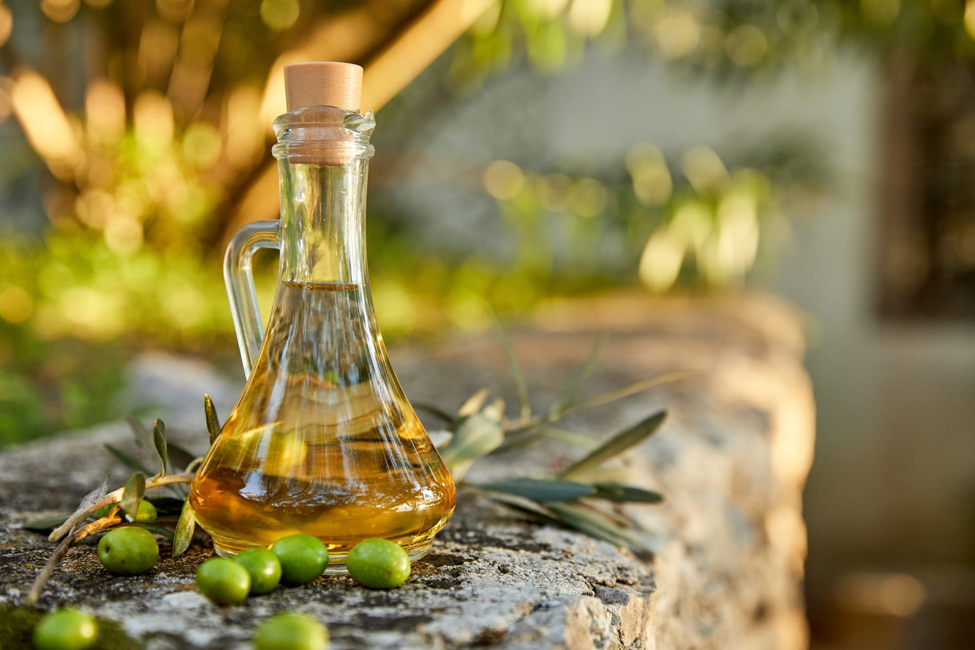 Guida agli Extravergini 2025 Slow Food, l’olio siciliano trionfa ancora ...