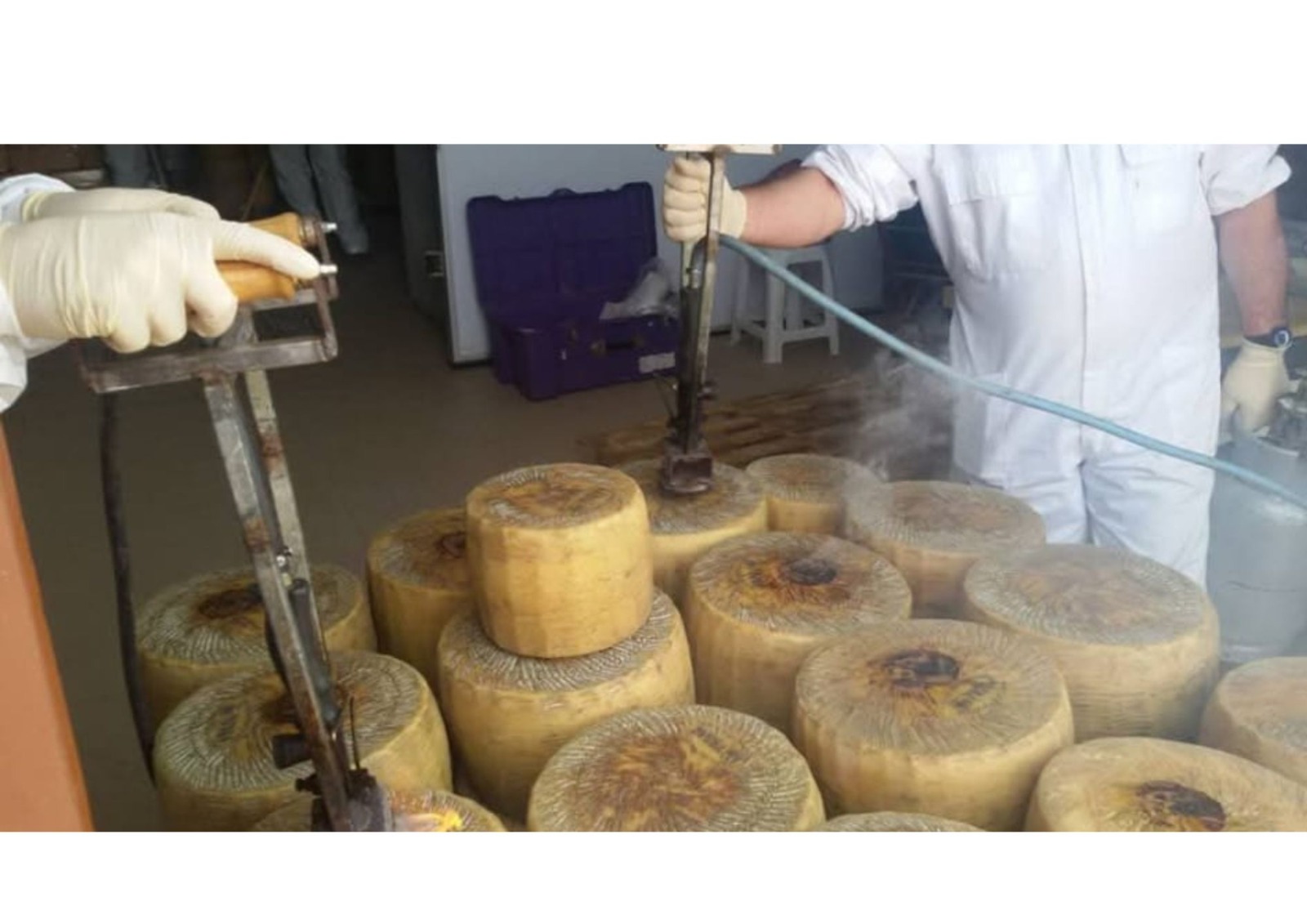 A Santo Stefano Quisquina torna il "Cheese Festival", la sagra del ...
